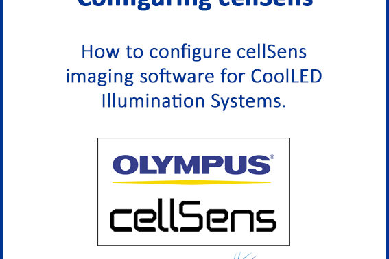 September 11, 2023 - CoolLED 1 of 1