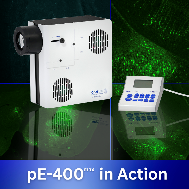 pE-400max Microscope Illuminator in Neuroscience Imaging - CoolLED