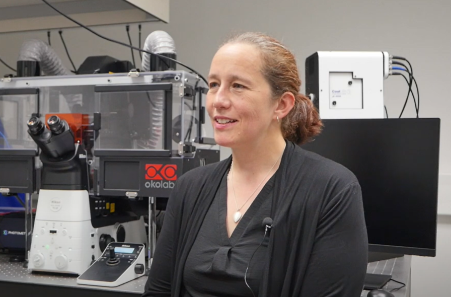 CoolLED at the Strathclyde Optical Microscopy Course - CoolLED